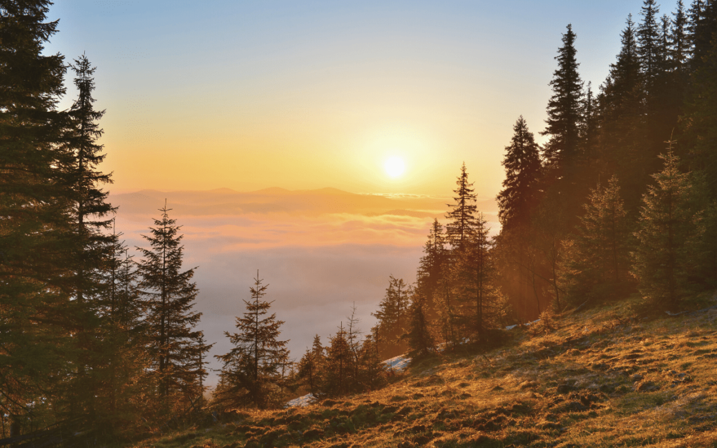 50 Positive Morning Affirmations to Start the Day - Spiritvibez